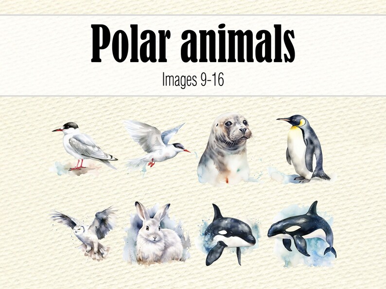 Watercolor Arctic Animals Clipart, Watercolor Polar Bear Clipart ...