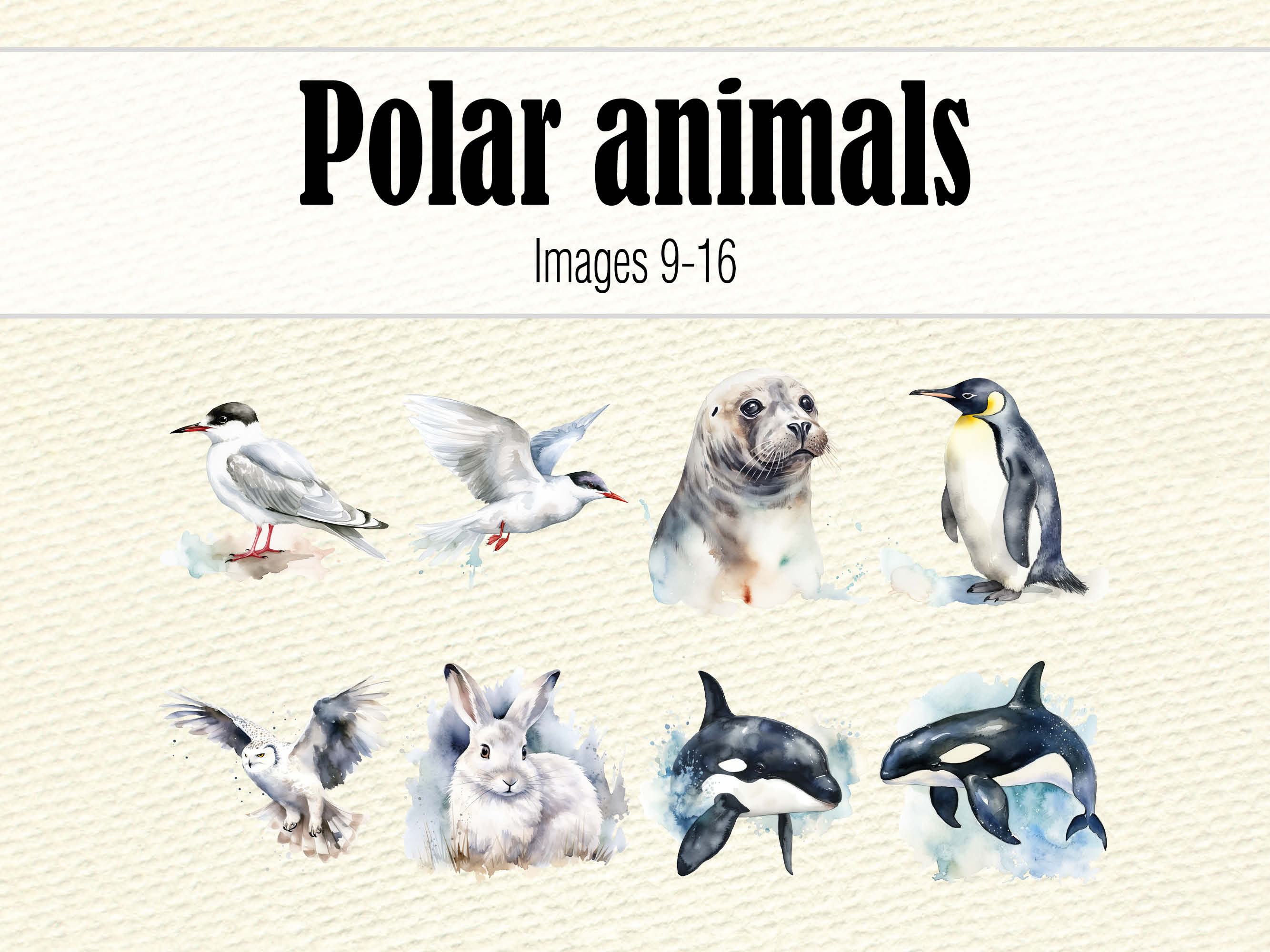 Watercolor Arctic Animals Clipart, Watercolor Polar Bear Clipart ...