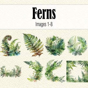 Watercolor Fern Clipart, Painted Fern PNG, Autumn Fern, Fern Wreath ...