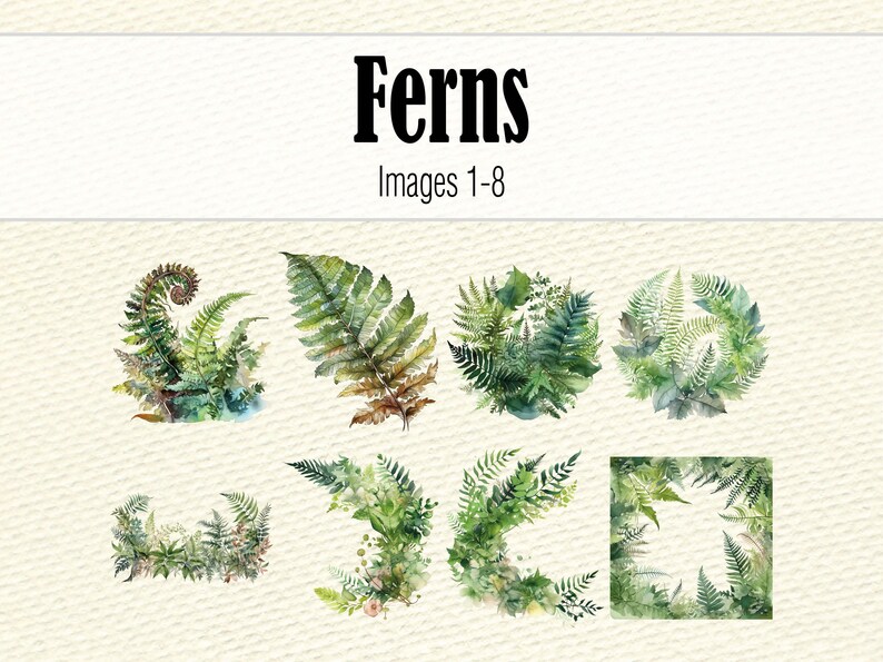Watercolor Fern Clipart, Painted Fern PNG, Autumn Fern, Fern Wreath ...