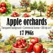 Apple Orchard Clipart, Apple Tree Clipart Apple Picking Garden Clipart ...