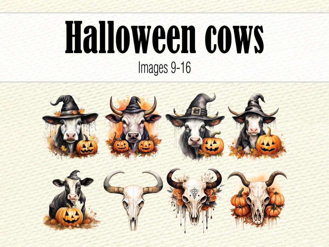 Halloween Cow Png Fall Cow Png Spooky Cow Clipart Highland - Etsy