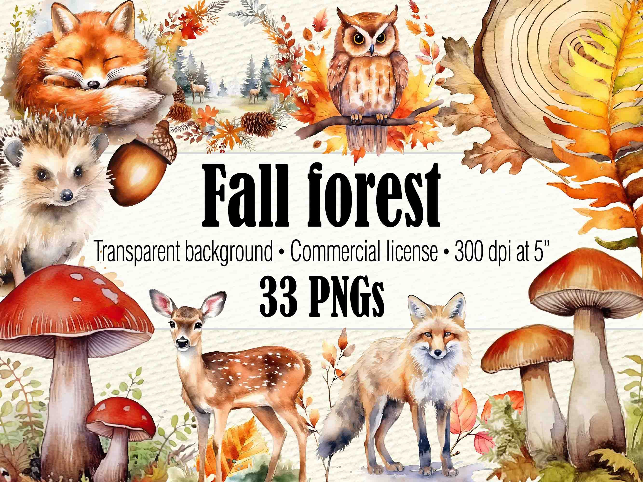 Watercolor Autumn Clipart Woodland Animals Fall Leaves - Etsy