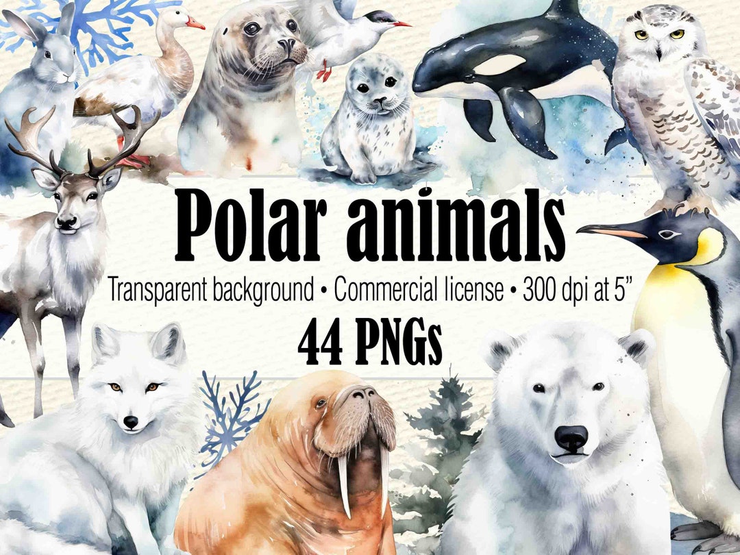 Watercolor Arctic Animals Clipart, Watercolor Polar Bear Clipart ...