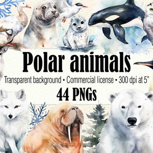 Watercolor Arctic Animals Clipart, Watercolor Polar Bear Clipart ...