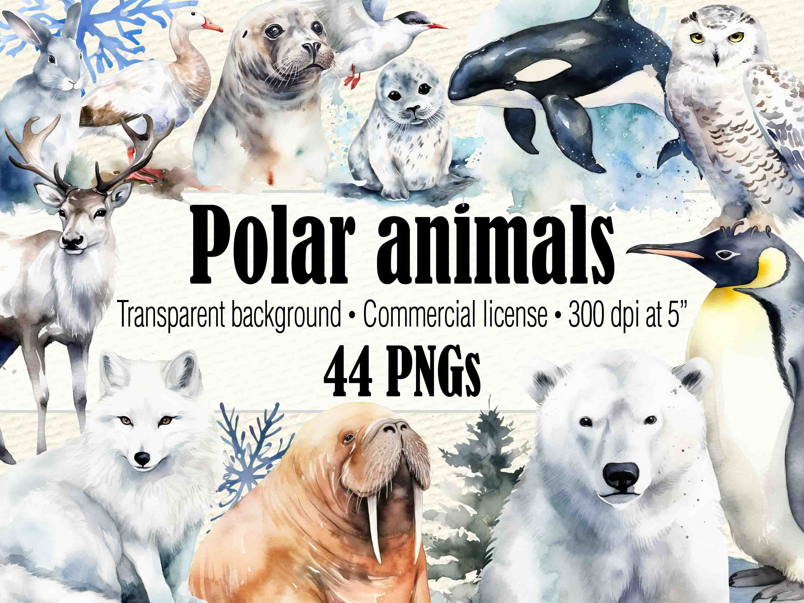 Watercolor Arctic Animals Clipart, Watercolor Polar Bear Clipart ...