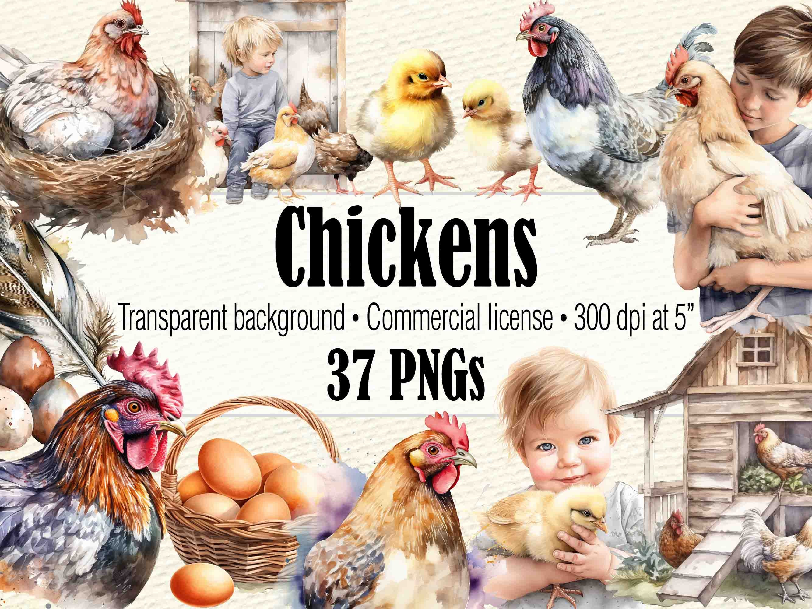 Watercolor Chicken Clipart, Floral Chicken PNG, Watercolor Rooster ...