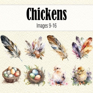 Watercolor Chicken Clipart, Floral Chicken PNG, Watercolor Rooster ...