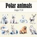 Watercolor Arctic Animals Clipart, Watercolor Polar Bear Clipart ...