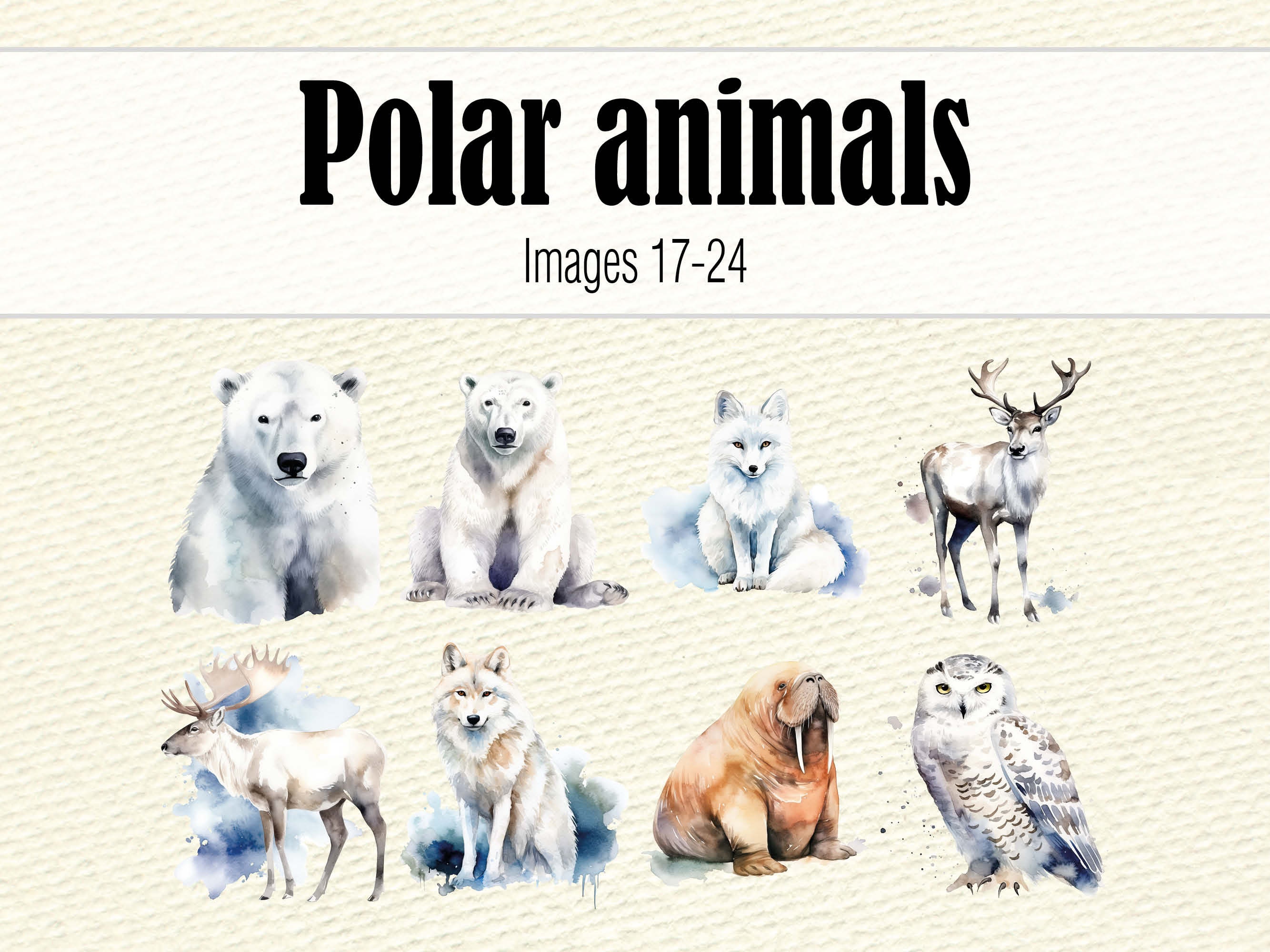 Watercolor Arctic Animals Clipart, Watercolor Polar Bear Clipart ...