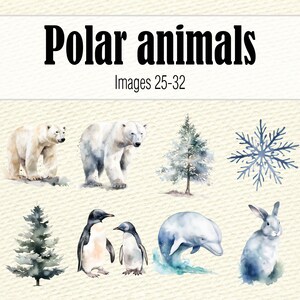 Watercolor Arctic Animals Clipart, Watercolor Polar Bear Clipart ...