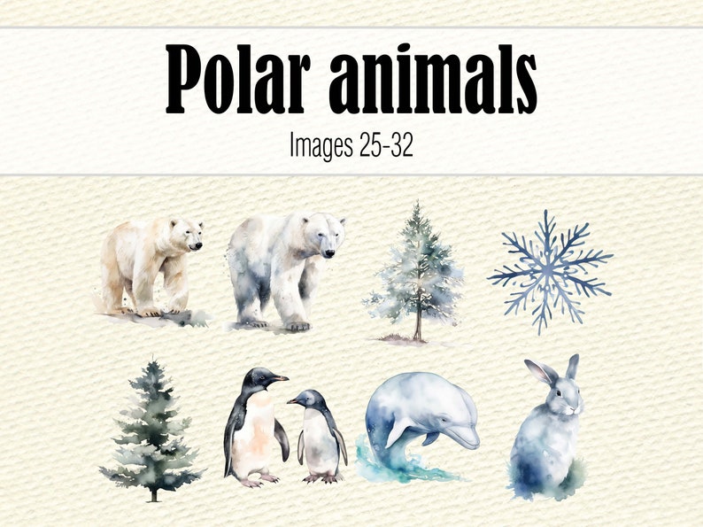 Watercolor Arctic Animals Clipart, Watercolor Polar Bear Clipart ...