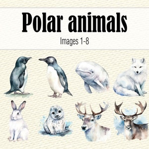 Watercolor Arctic Animals Clipart, Watercolor Polar Bear Clipart ...