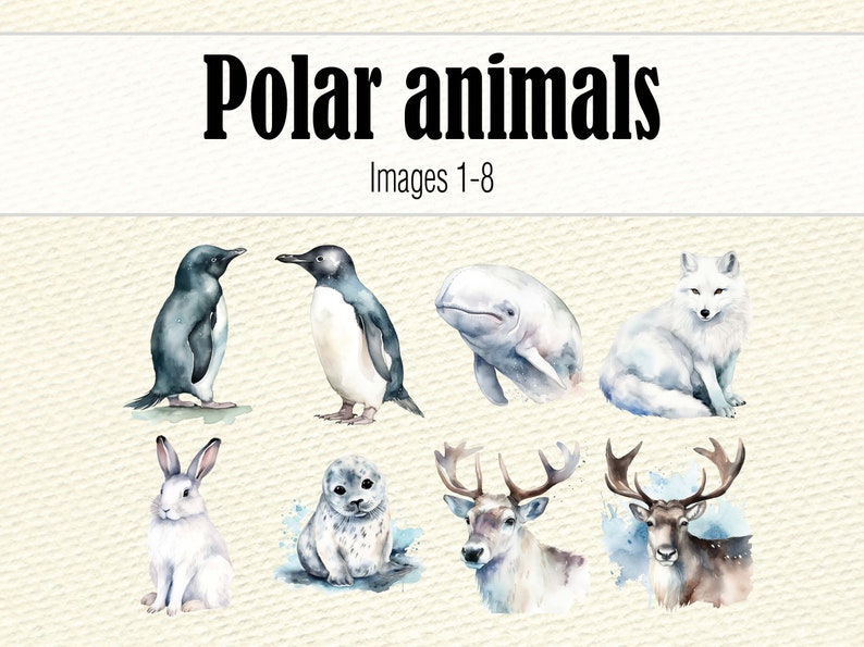 Watercolor Arctic Animals Clipart, Watercolor Polar Bear Clipart ...