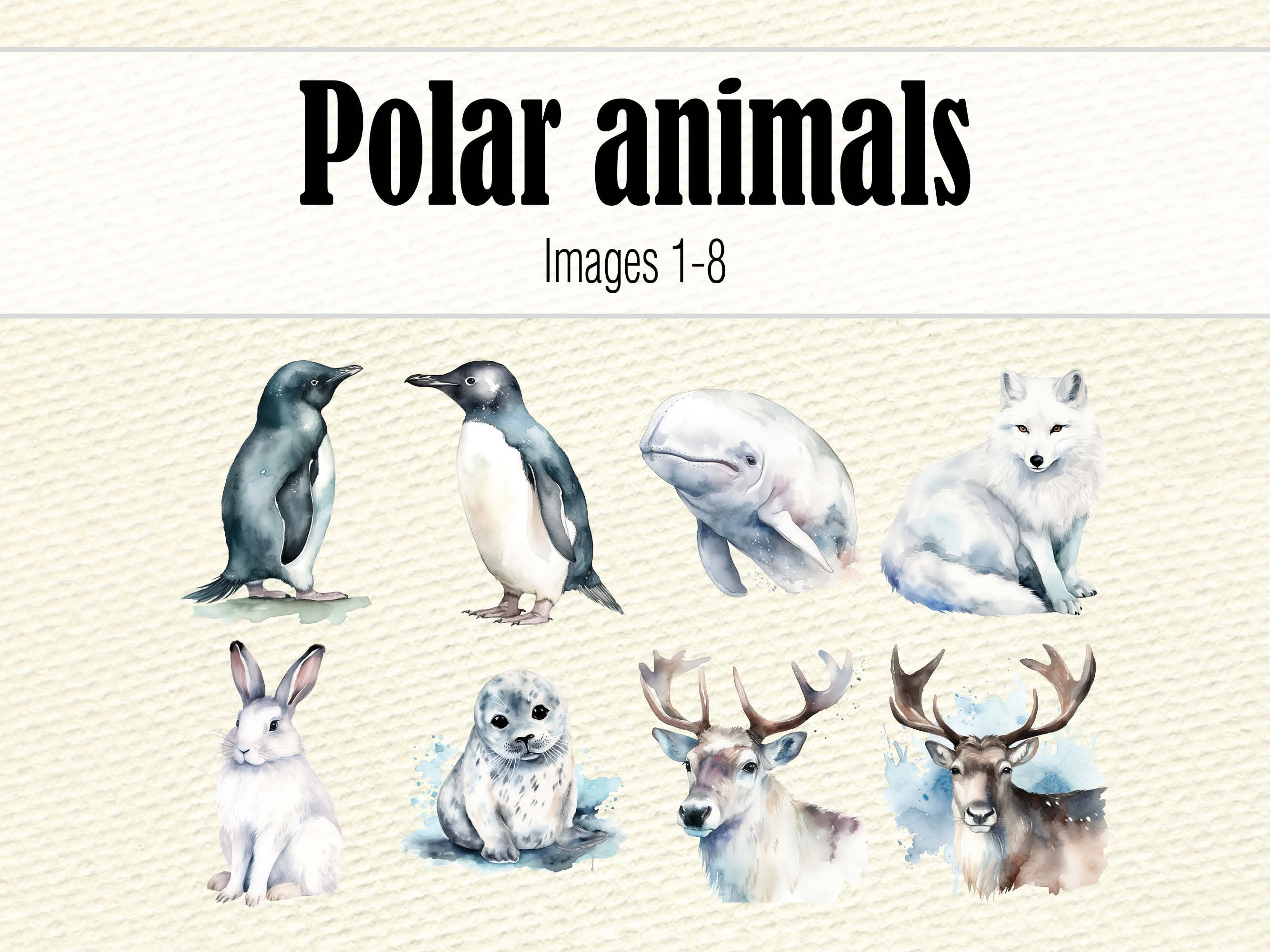 Watercolor Arctic Animals Clipart, Watercolor Polar Bear Clipart ...