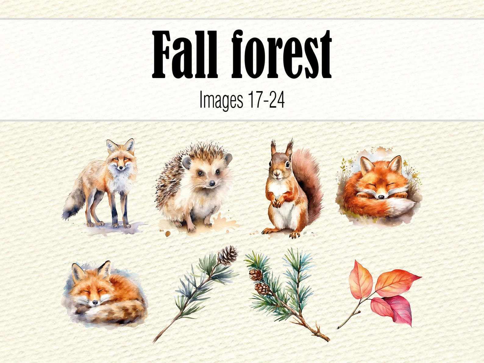 Watercolor Autumn Clipart Woodland Animals Fall Leaves - Etsy