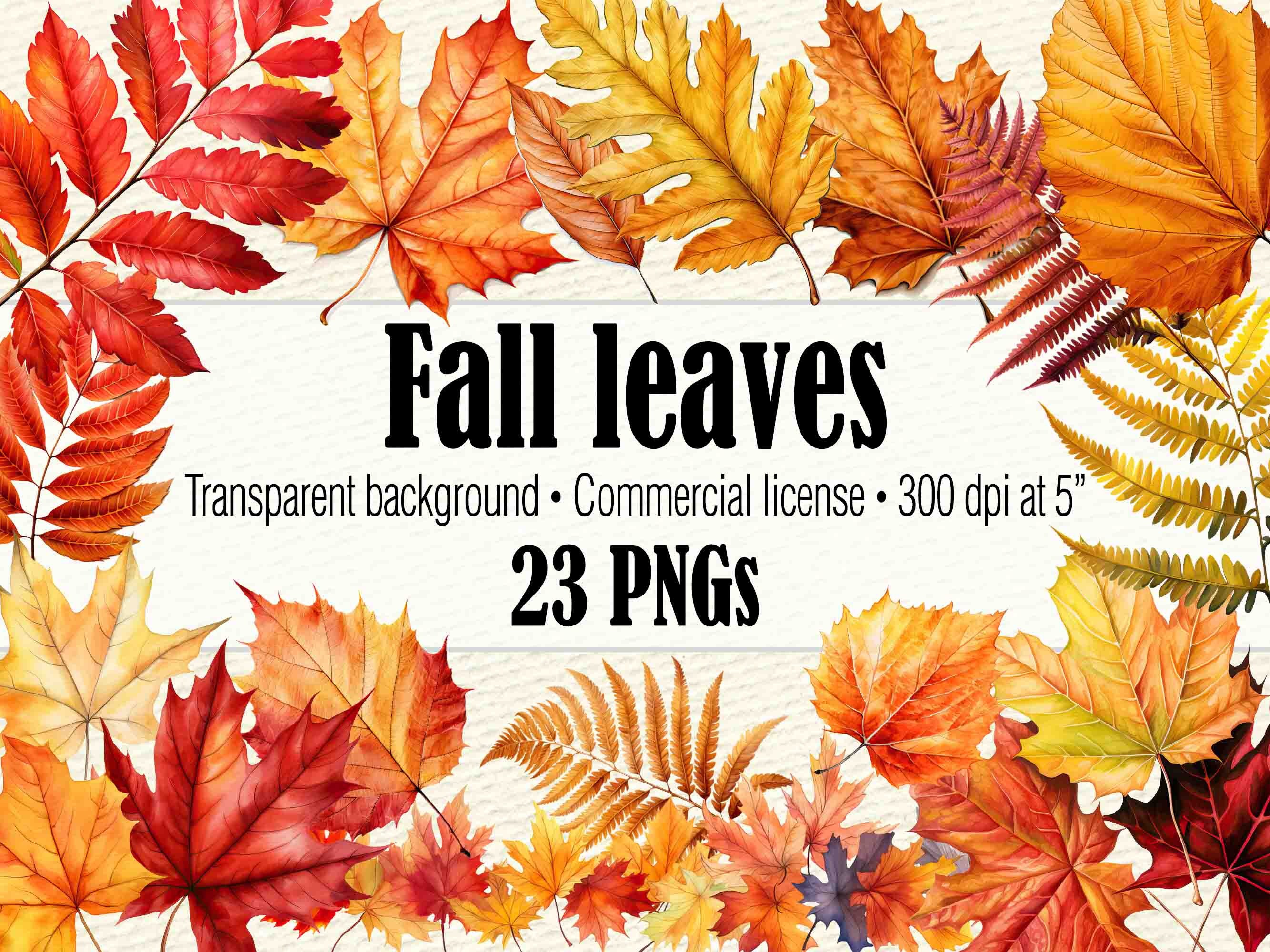 Fall Leaves Clipart, Fall Border PNG, Fall Leaves PNG, Watercolor Fern ...