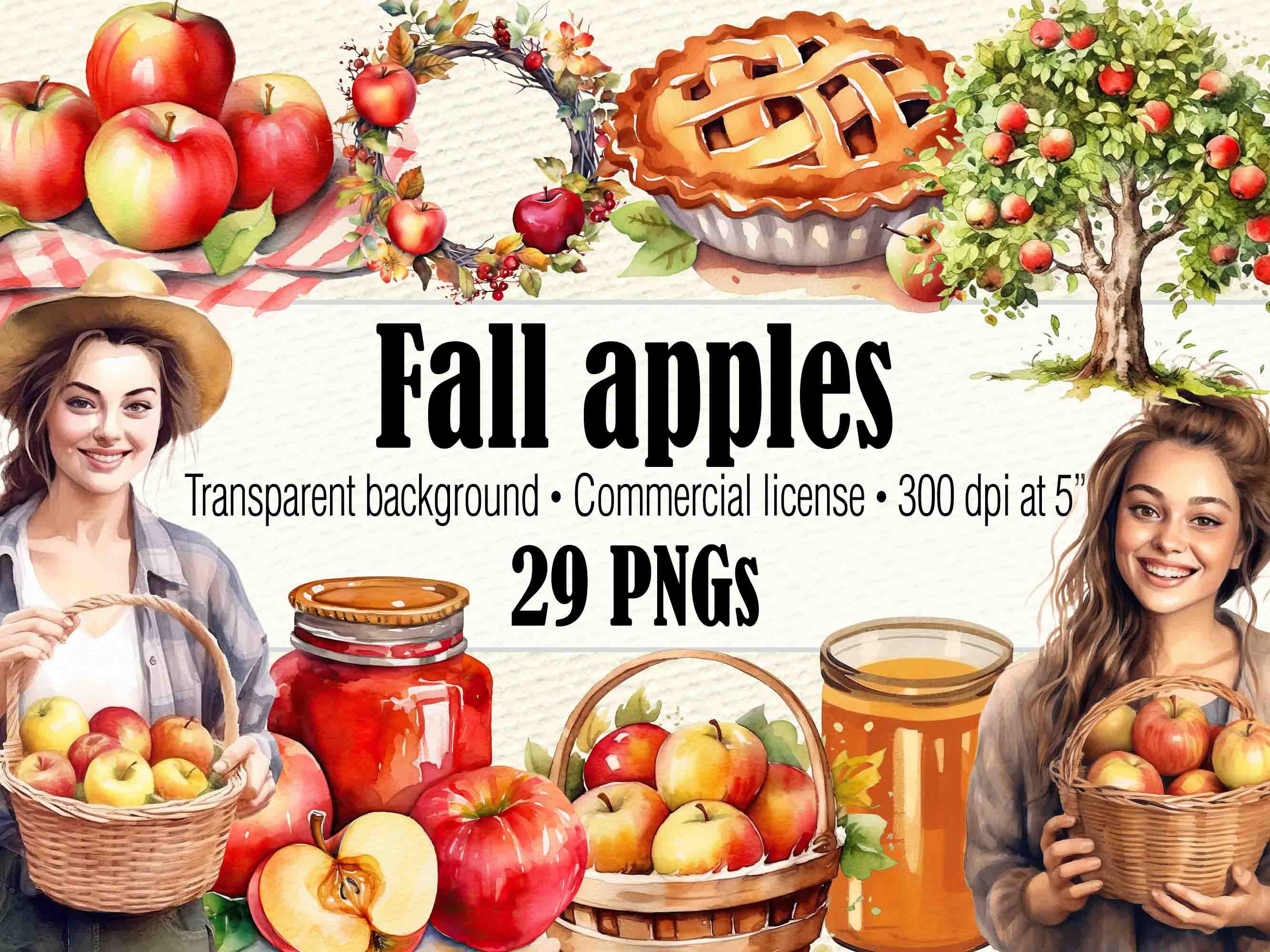 Fall Apple Clipart Apple Orchard Clipart Fall Girl Clipart - Etsy