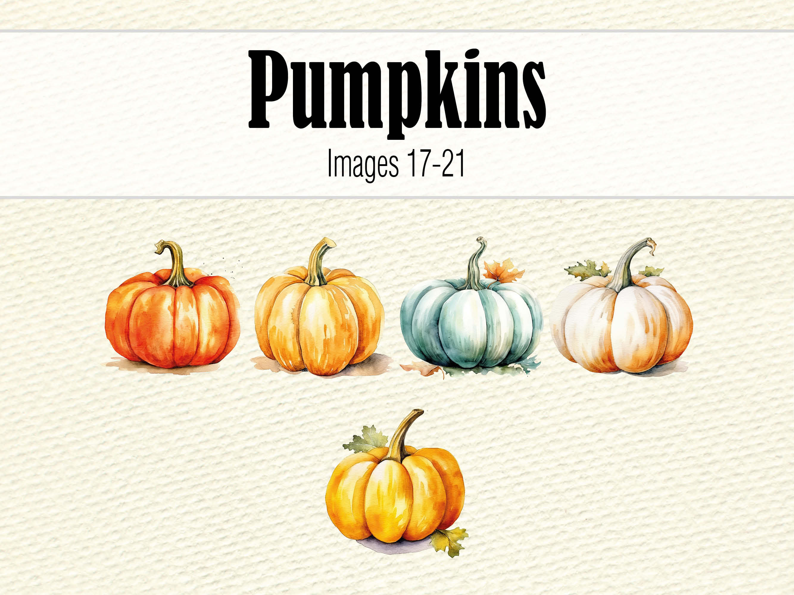 Watercolor Pumpkin Clipart Pumpkin Patch PNG Retro Pumpkin - Etsy