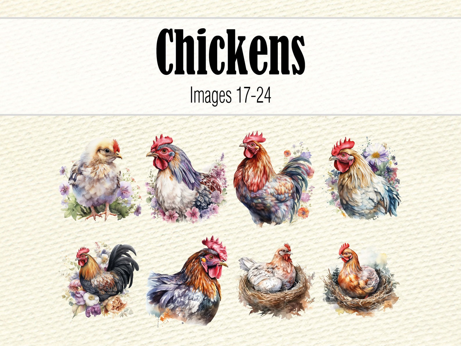 Watercolor Chicken Clipart, Floral Chicken PNG, Watercolor Rooster ...