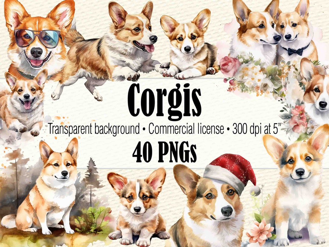 Watercolor Corgi Clipart, Corgi PNG, Corgi Head Clip Art, Corgi Wedding ...