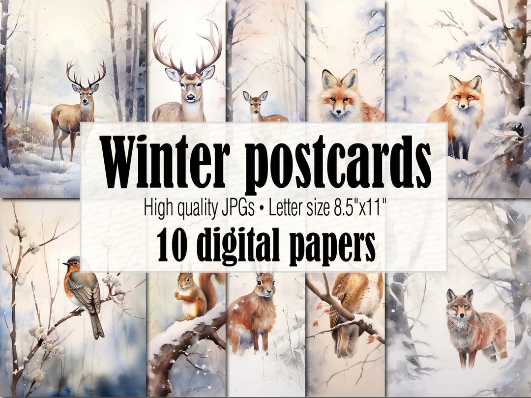 Winter Woodland Animals Winter Postcard Digital Paper, Winter ...