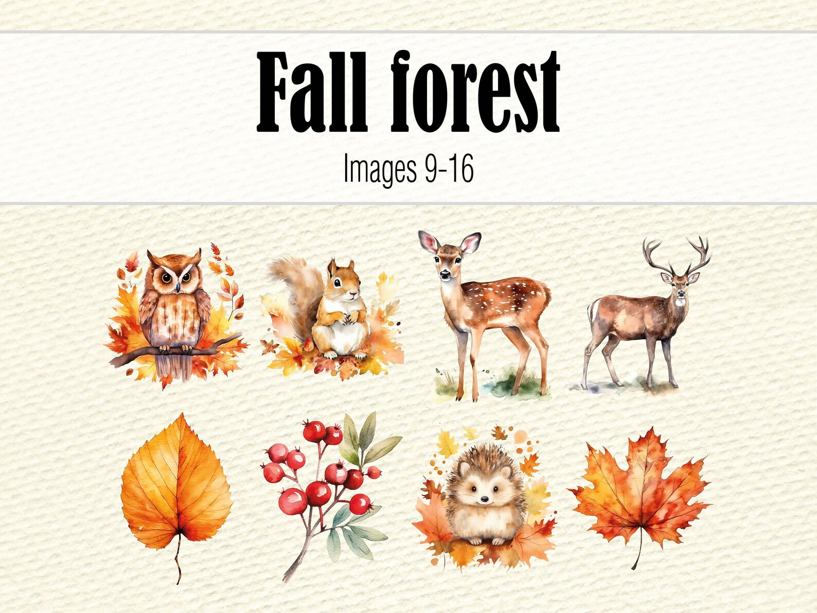 Watercolor Autumn Clipart, Woodland Animals Fall Leaves Clipart, Cute ...