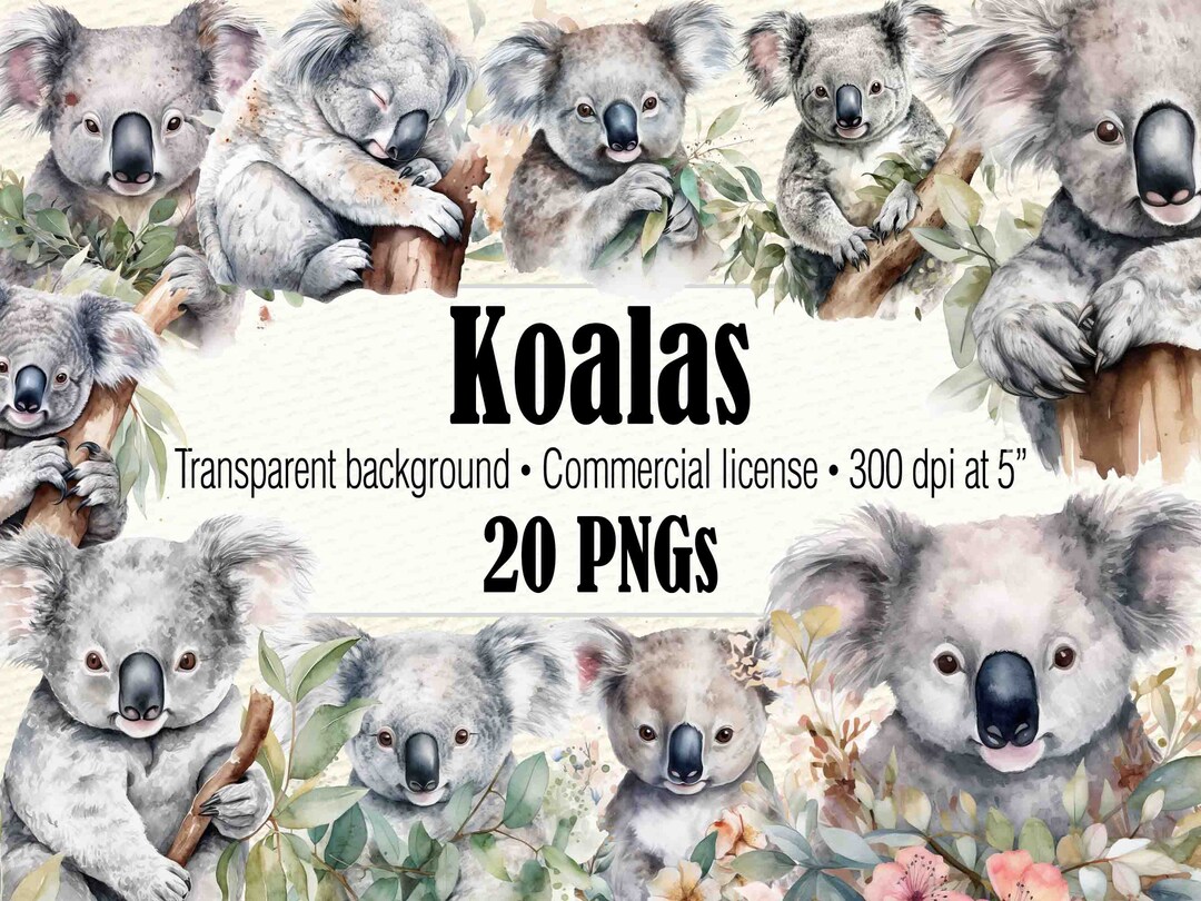 Koala Watercolor Clipart, Koala Bear Watercolor, Eucalyptus Clip Art ...