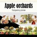Apple Orchard Clipart, Apple Tree Clipart Apple Picking Garden Clipart ...