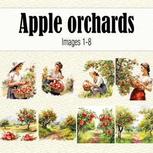 Apple Orchard Clipart, Apple Tree Clipart Apple Picking Garden Clipart ...