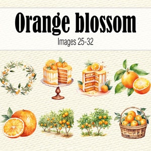 Watercolor Orange Blossom Clipart, Orange Fruit Clipart, Wreath Clipart ...