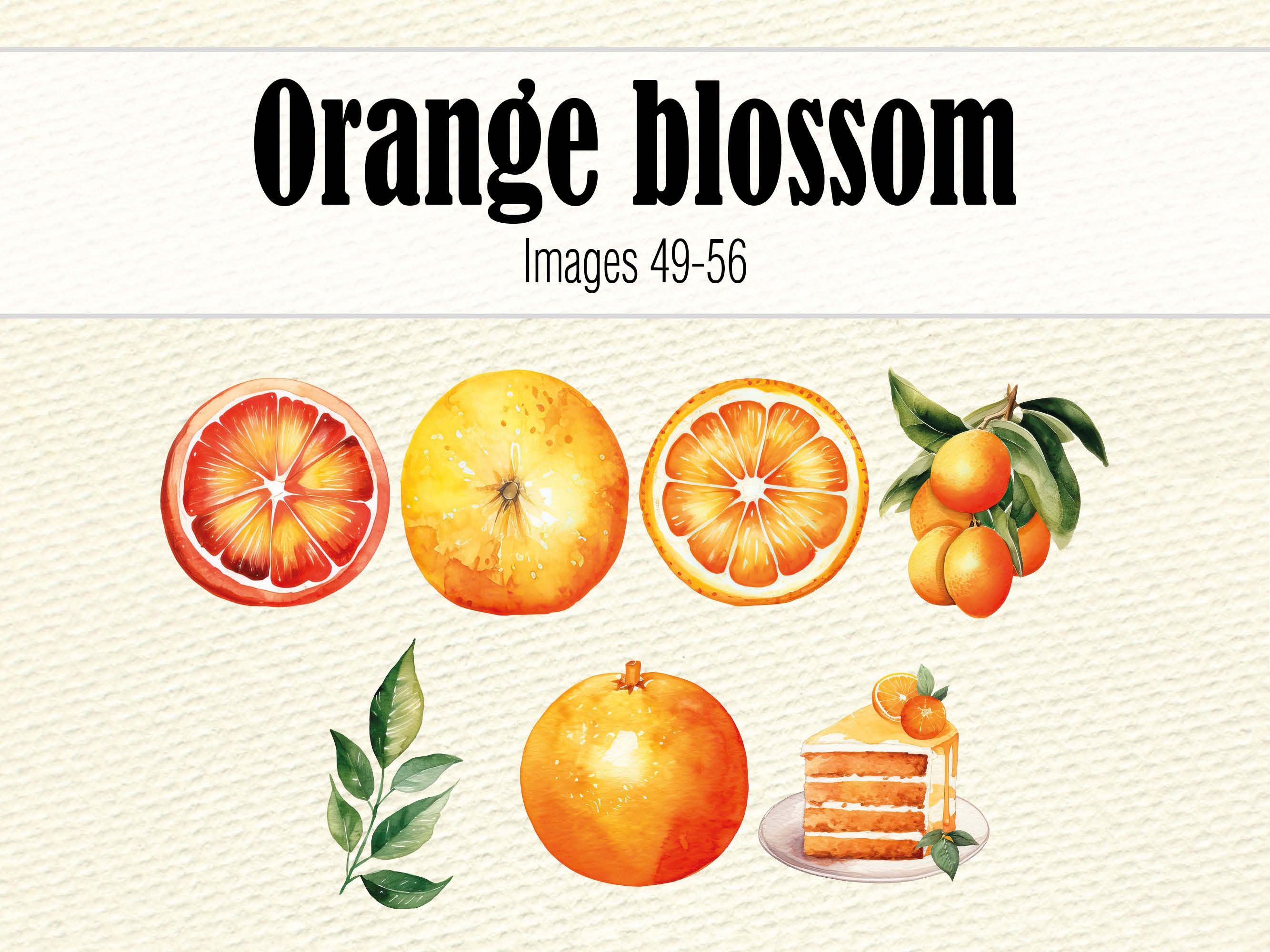 Watercolor Orange Blossom Clipart, Orange Fruit Clipart, Wreath Clipart ...