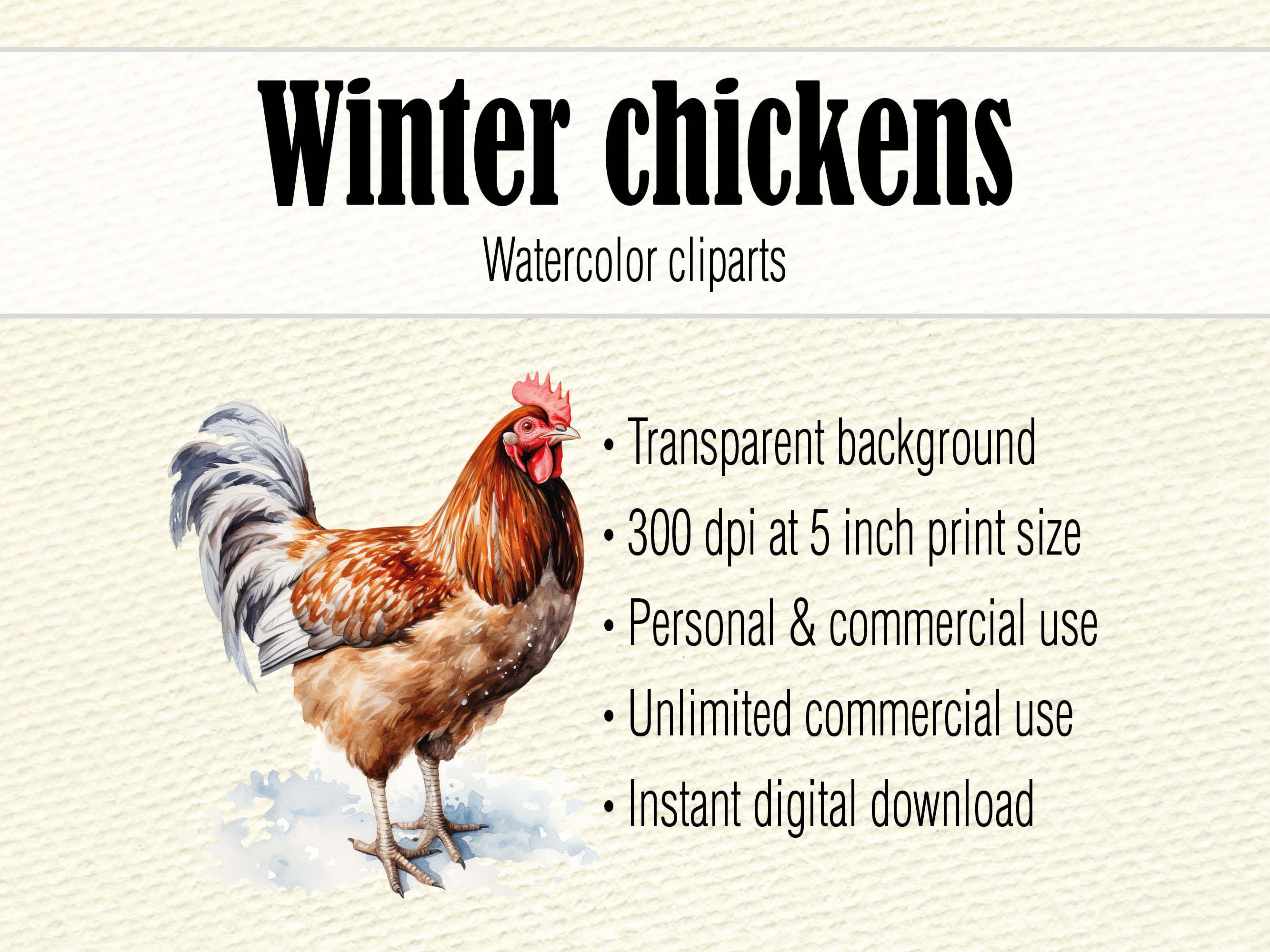 Winter Chicken Clipart, Watercolor Chicken Rooster PNG, Cute Chicken ...