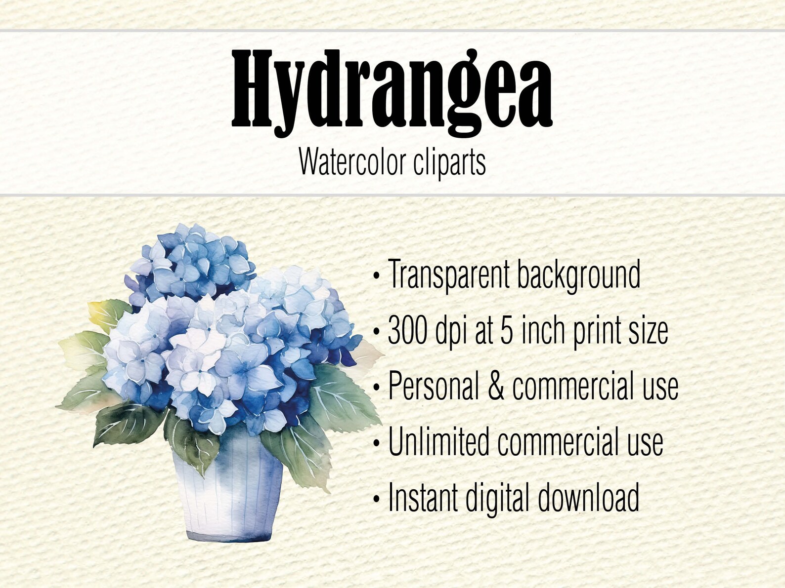 Watercolor Hydrangea Clipart, Watercolor Blue Pink Hydrangea Clipart, Hydrangea Painting Wedding ...