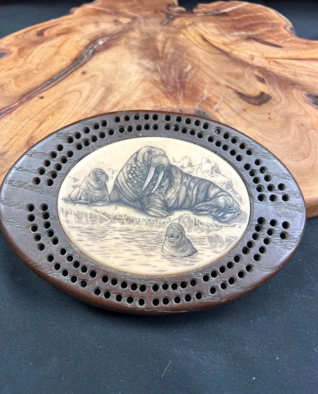 Vintage Walrus Themed Cribbage Board - Etsy