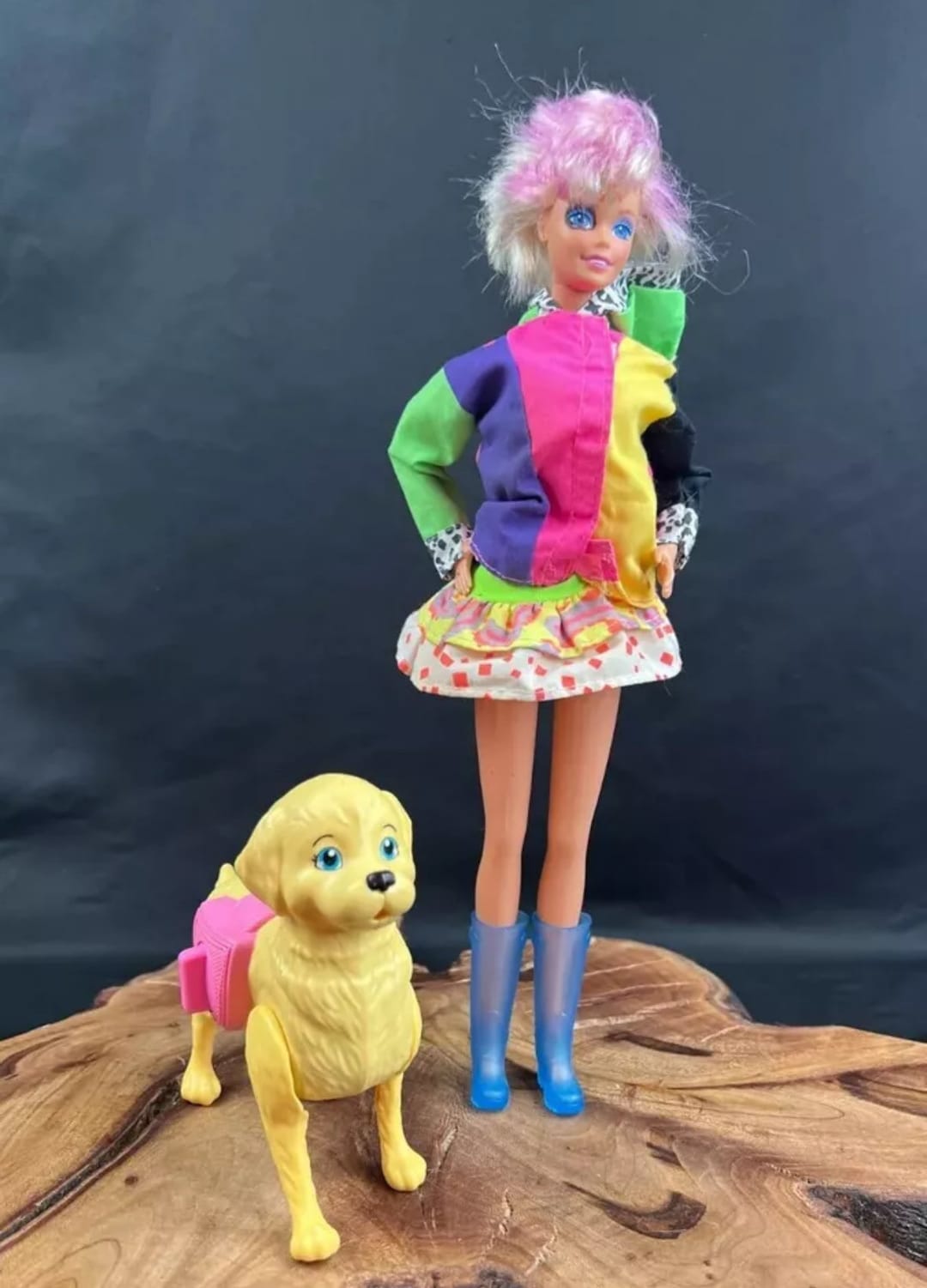 Custom Made Weird Barbie & Taffy Pooping Dog - Etsy