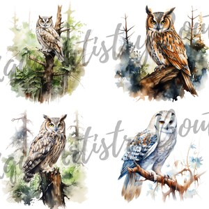 Watercolor Owl | Digital Download | Wall Art | Watercolor Clipart | Owl ...