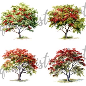 Watercolor Rowan Tree | Digital Download | Wall Art | Watercolor ...