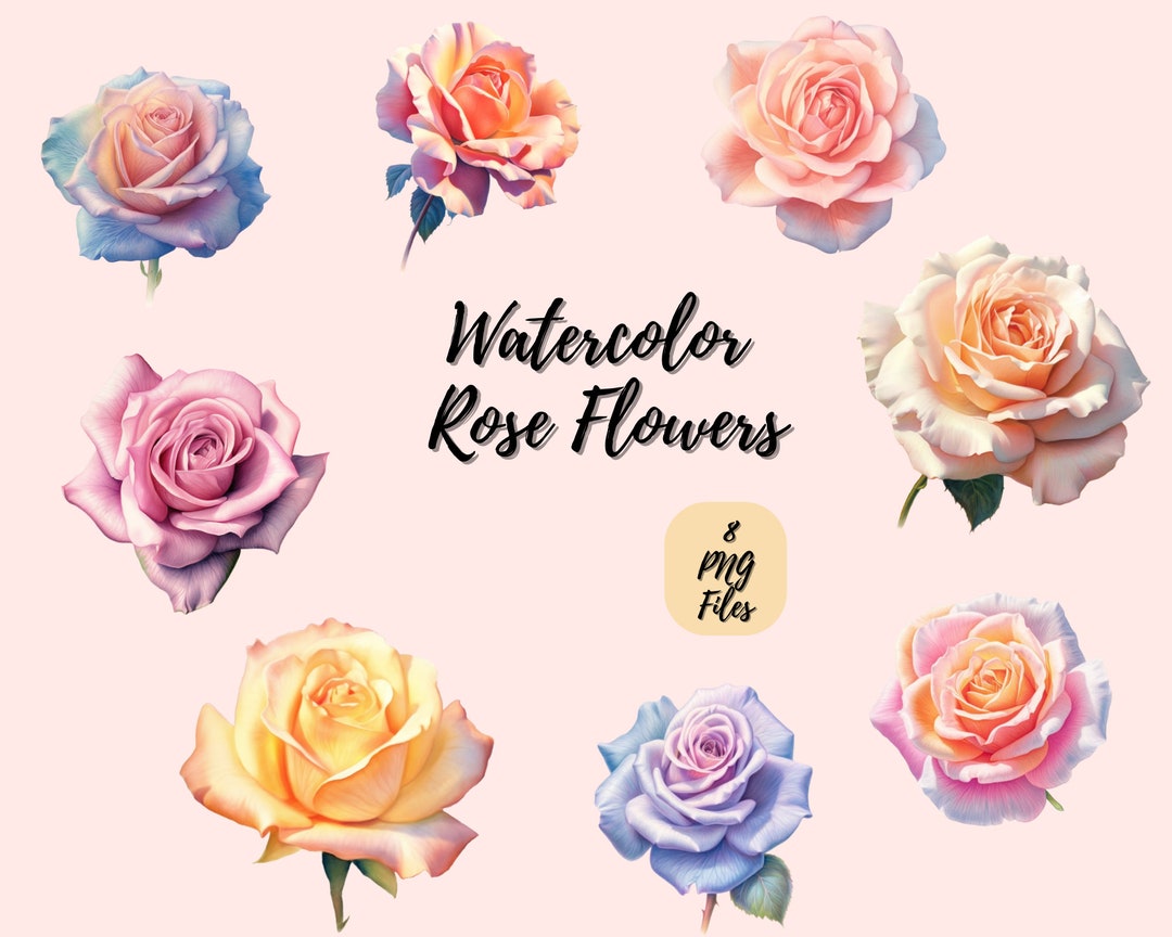 Watercolor Rose Digital Download Wall Art Watercolor Clipart Flower PNG ...