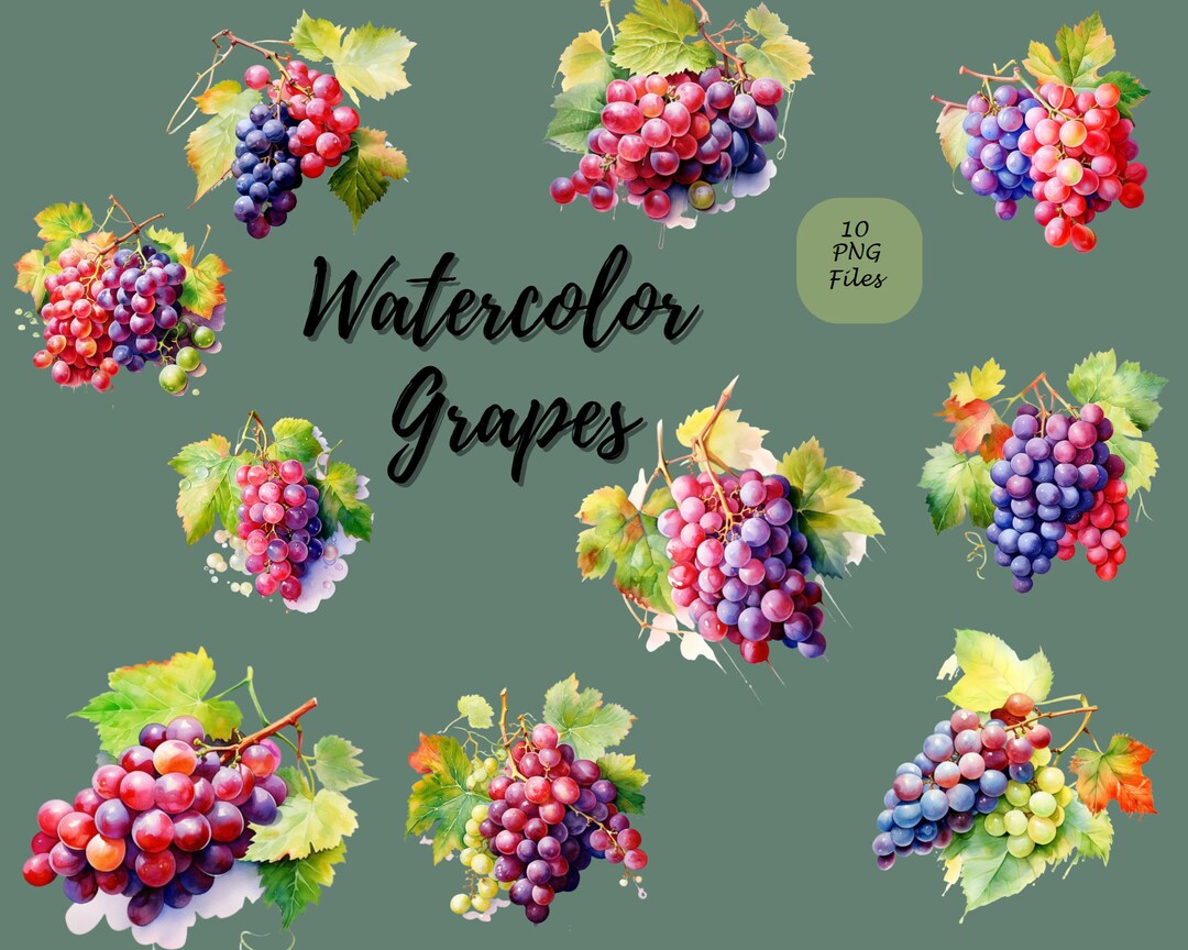 Watercolor Grapes | Digital Download | Wall Art | Watercolor Clipart ...
