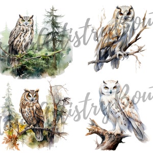 Watercolor Owl | Digital Download | Wall Art | Watercolor Clipart | Owl ...