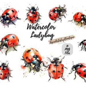 Watercolor Ladybug | Digital Download | Wall Art | Watercolor Clipart ...
