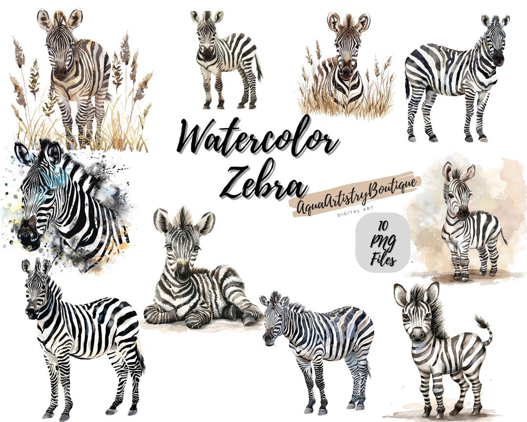 Watercolor Zebra | Digital Download | Wall Art | Watercolor Clipart ...