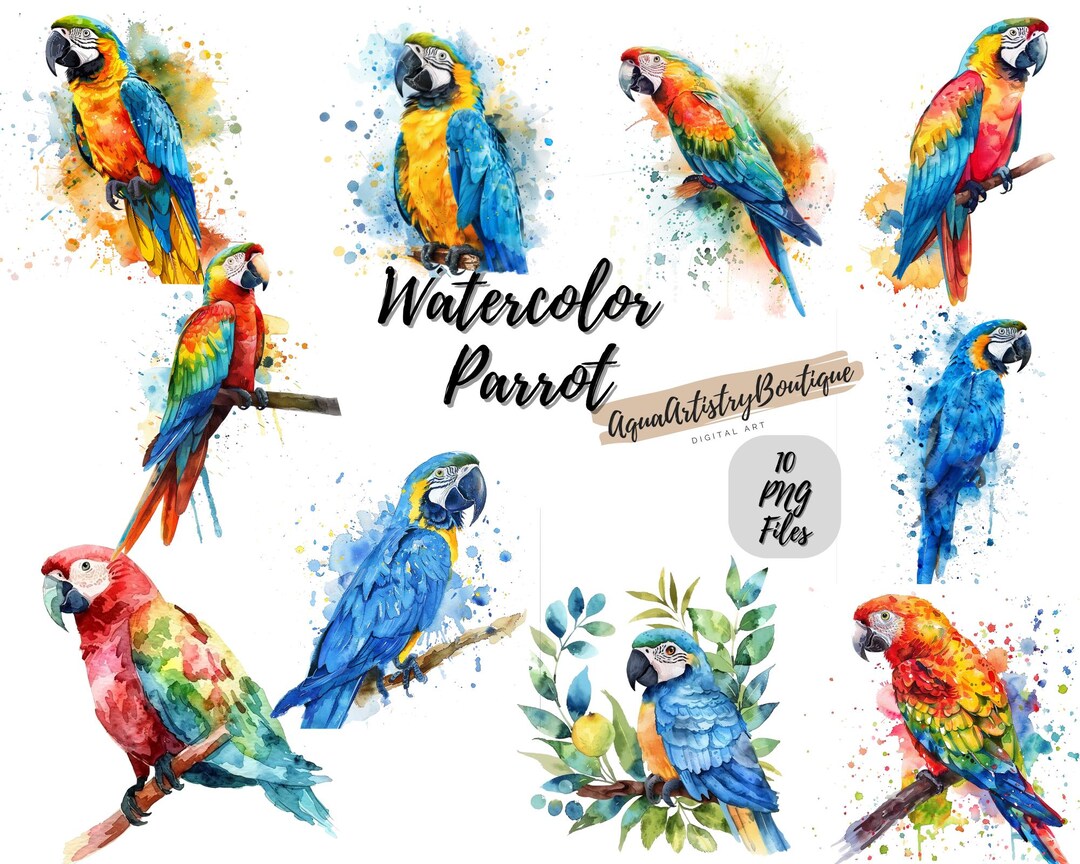 Watercolor Parrot | Digital Download | Wall Art | Watercolor Clipart ...