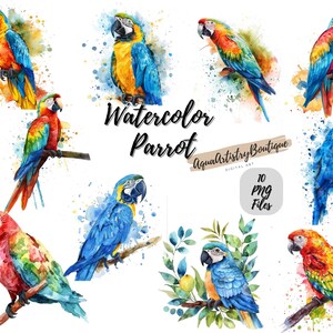 Watercolor Parrot | Digital Download | Wall Art | Watercolor Clipart ...