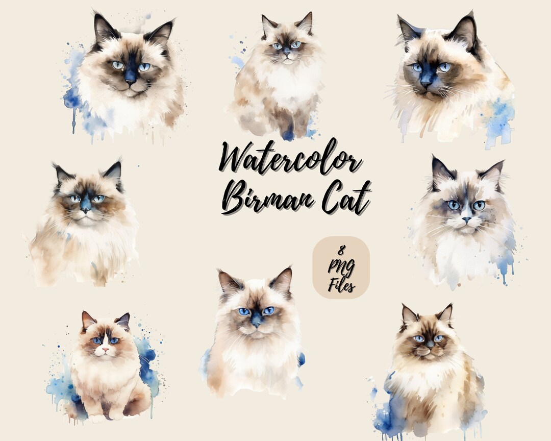 Watercolor Birman Cat | Digital Download | Wall Art | Watercolor ...