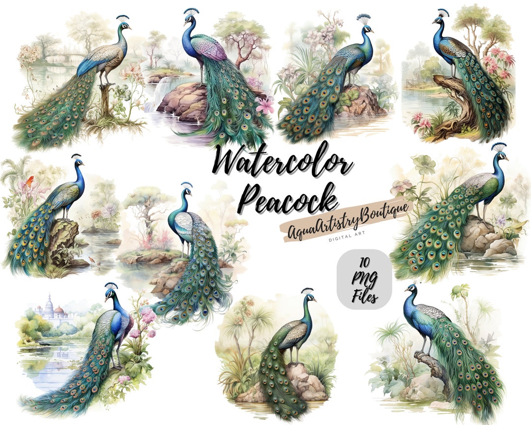 Watercolor Peacock | Digital Download | Wall Art | Watercolor Clipart ...