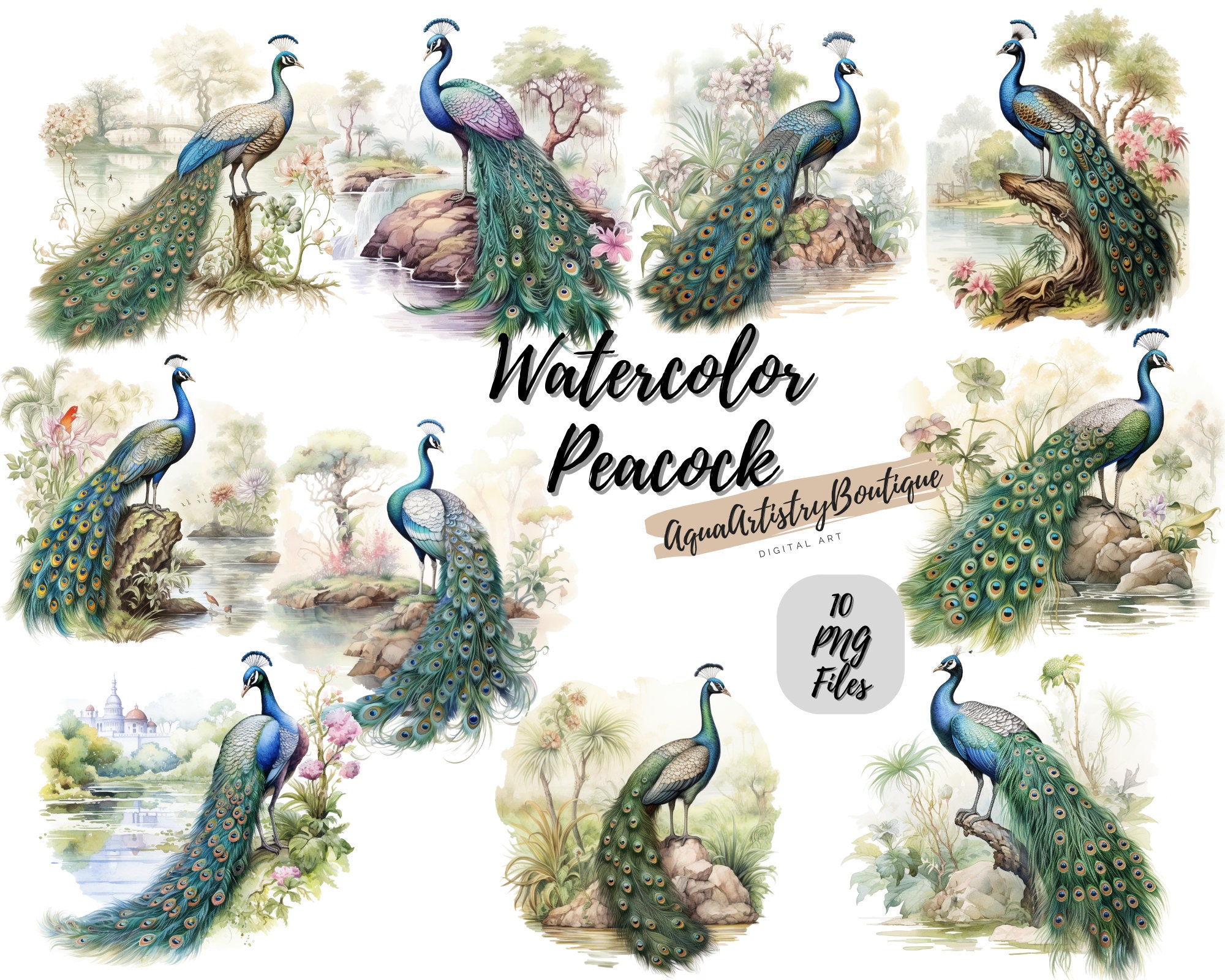 Watercolor Peacock Digital Download Wall Art Watercolor Clipart Peacock ...