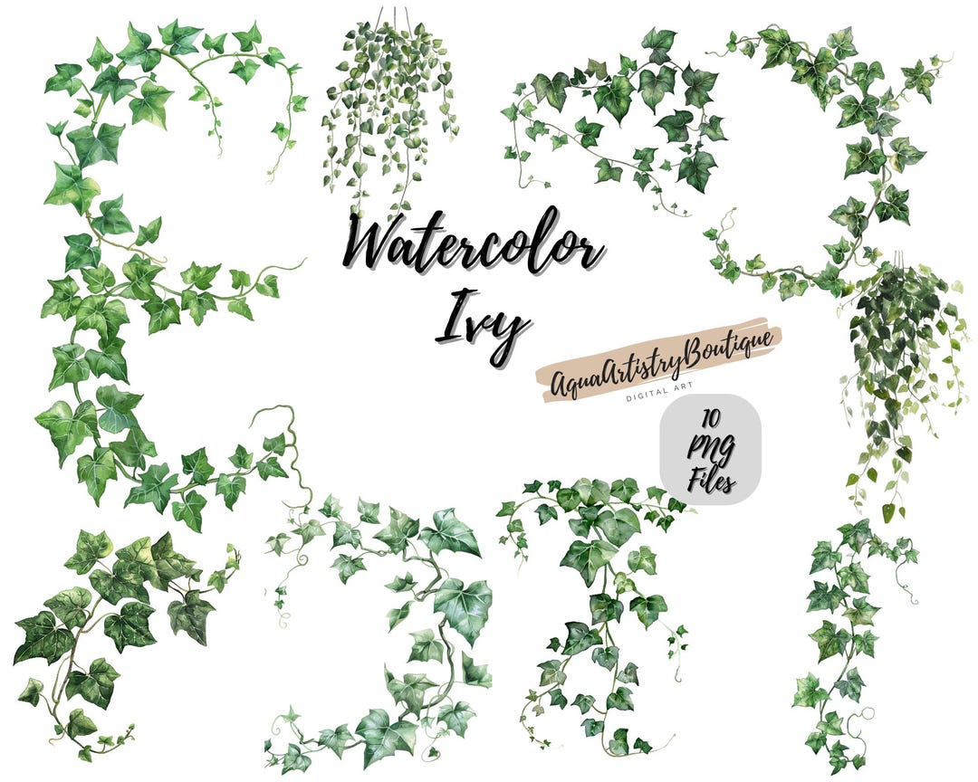 Watercolor Ivy | Digital Download | Wall Art | Watercolor Clipart | Ivy ...