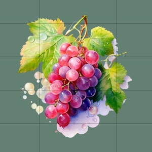 Watercolor Grapes Digital Download Wall Art Watercolor Clipart Fruit ...
